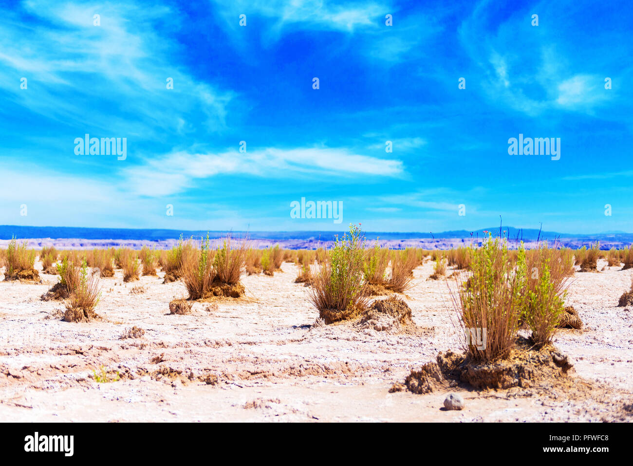 Landscape in Atacama desert, Chile. Copy space for text Stock Photo - Alamy