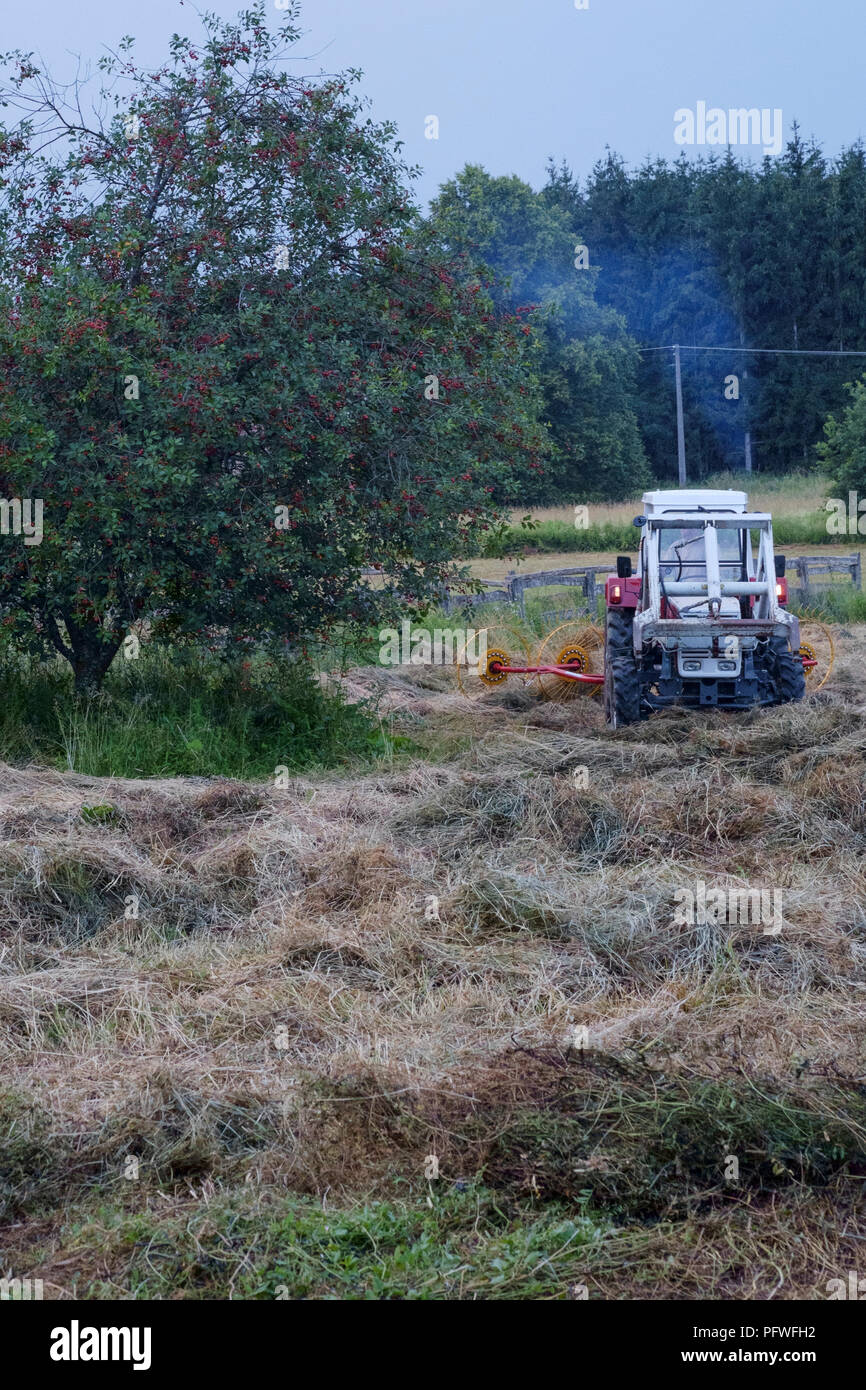 Steyr 650 hi-res stock photography and images - Alamy