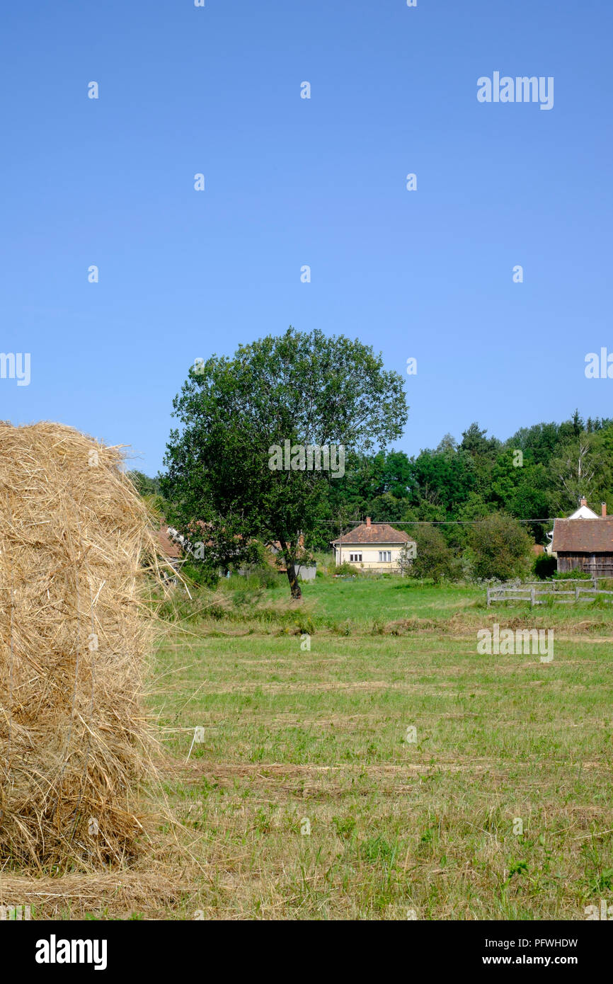 typical small rural hamlet in the countryside of zala county hungary ...