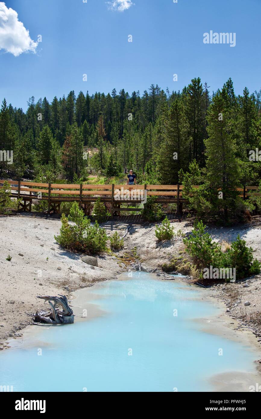 Norris geyser yellowstone boardwalk hi-res stock photography and images ...