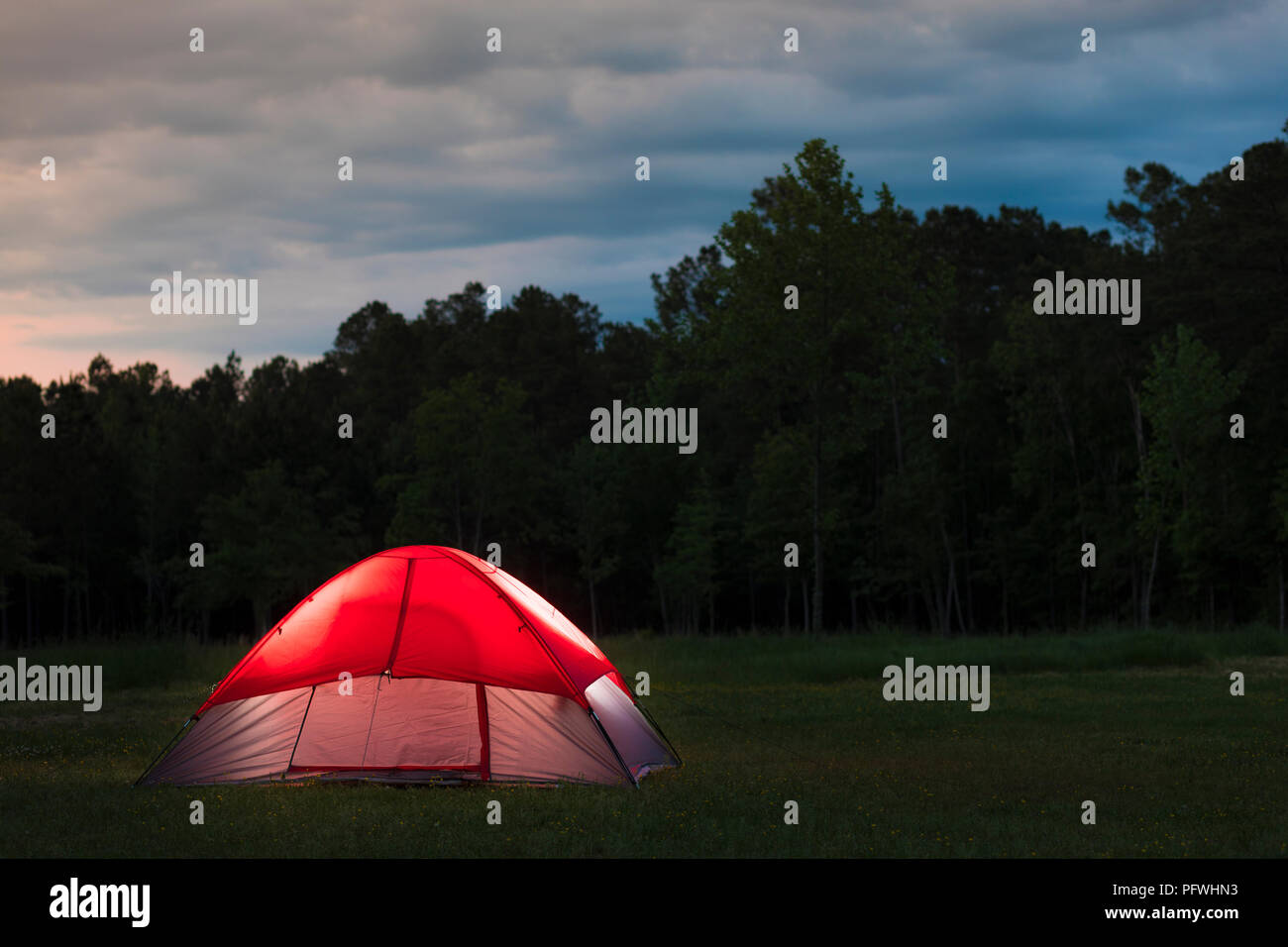 Lights glowing inside a small tent in a meadow near a thick treeline ...