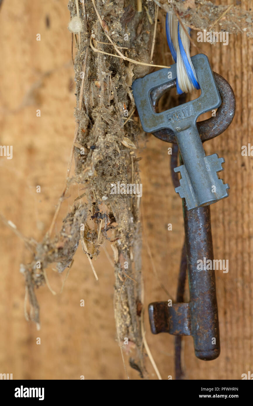 old keys hanging by twine in an old dirty dusty shed Stock Photo - Alamy