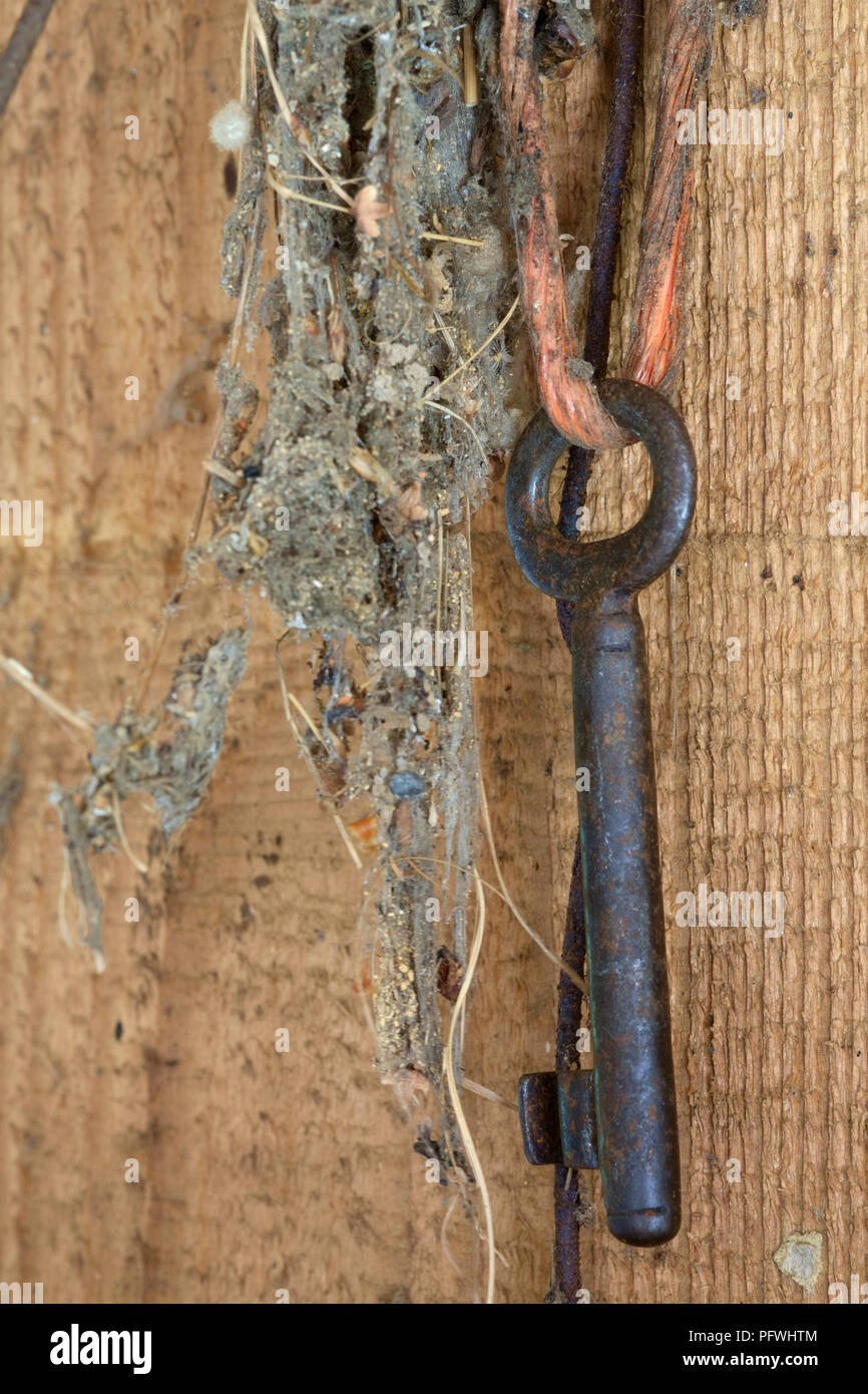 Old rusty key hanging in hi-res stock photography and images - Alamy