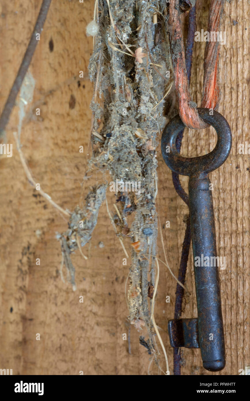 old key hanging by twine in an old dirty dusty shed Stock Photo - Alamy