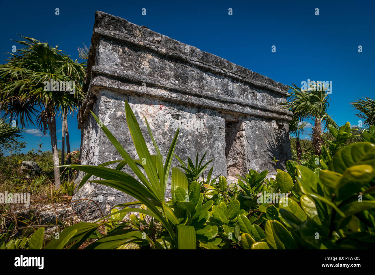 Mayan Ruins among tropical vegetation, Fatima Bay, Puerto Aventuras ...