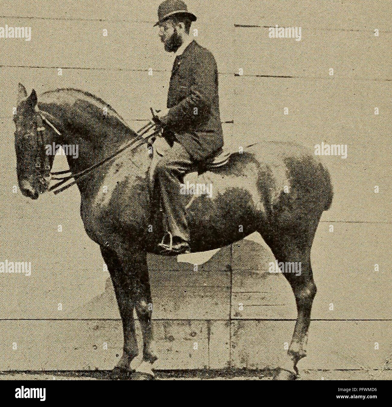 Curdy hi-res stock photography and images - Alamy