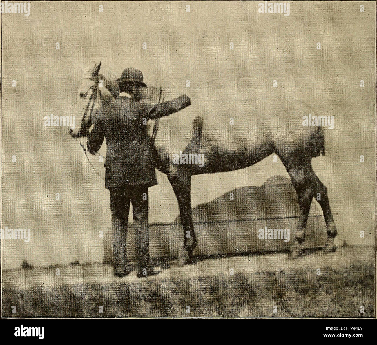 This guide covers the use of curb, snaffle, and spur in horsemanship ...