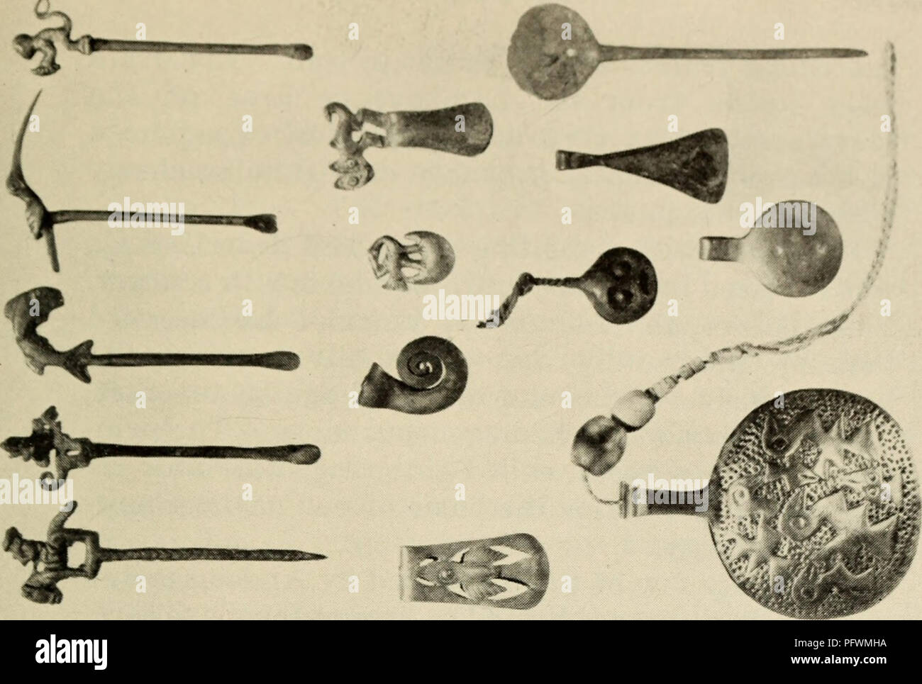 This work provides an overview of the culture and history of the Andean ...