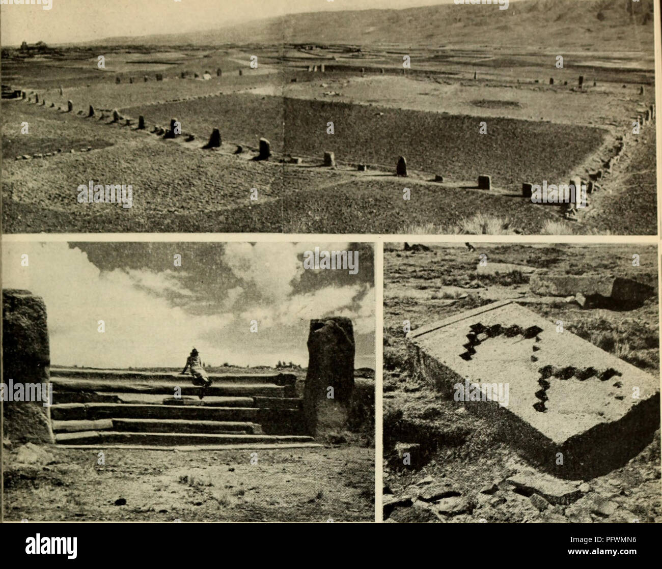 This work explores the cultural history of the Andean region, focusing ...
