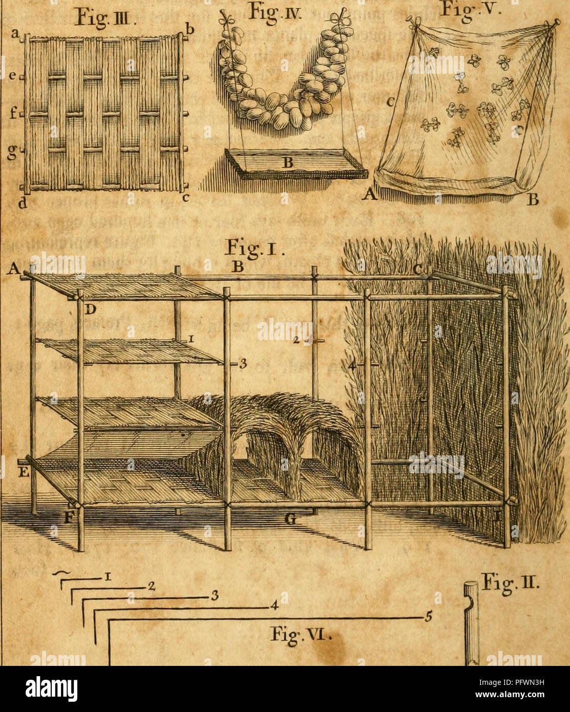 This work on sericulture explores the practices of mulberry tree ...