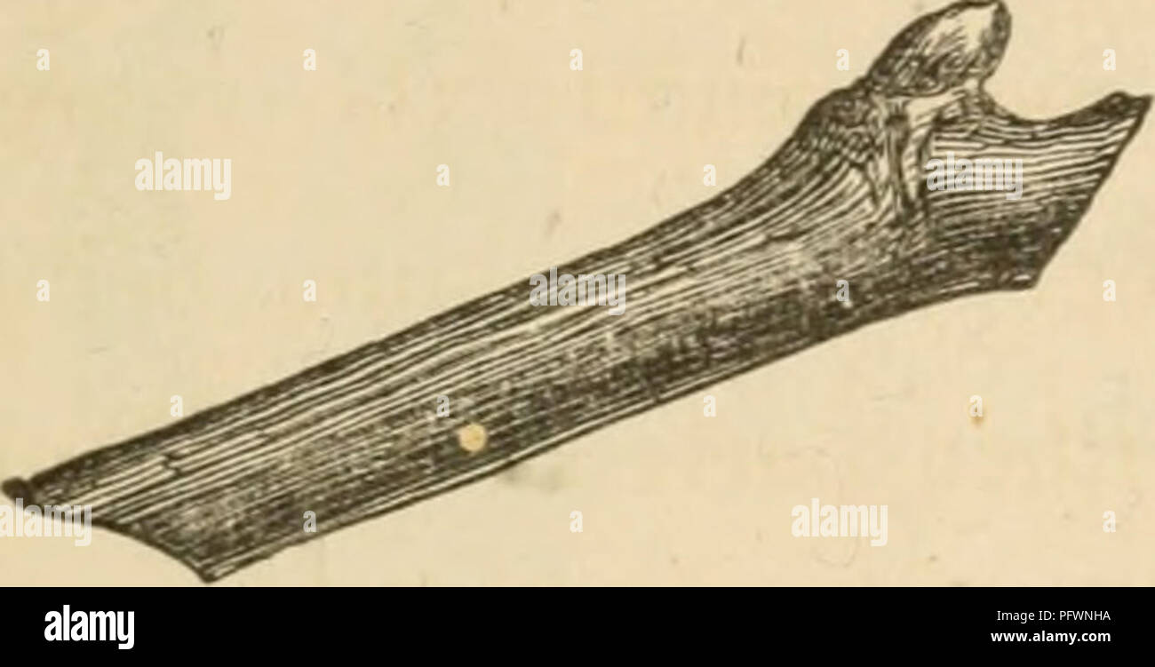 The work covers the practices and principles of grape cultivation ...