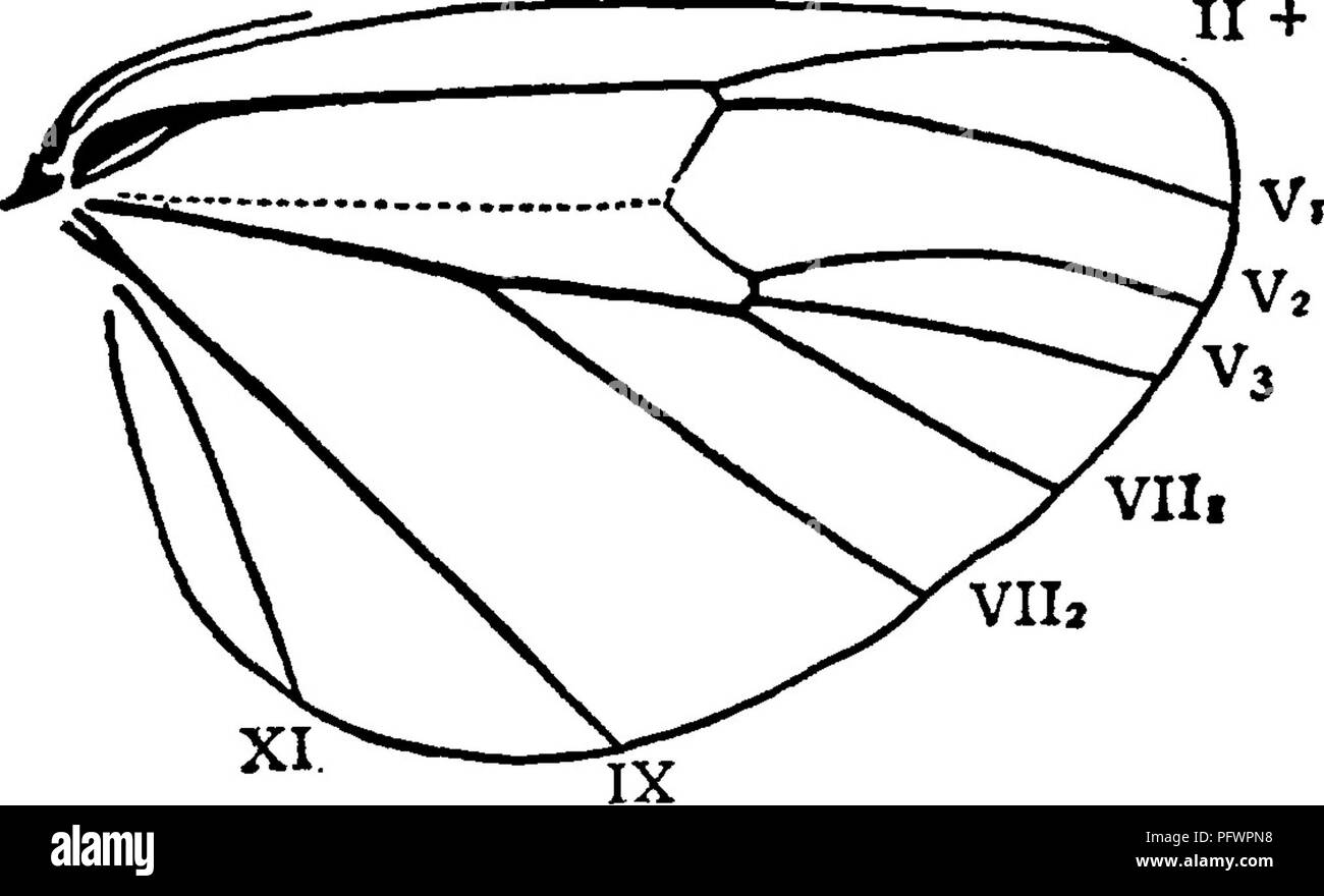 This manual, authored by John Henry and Anna Botsford Comstock, serves ...