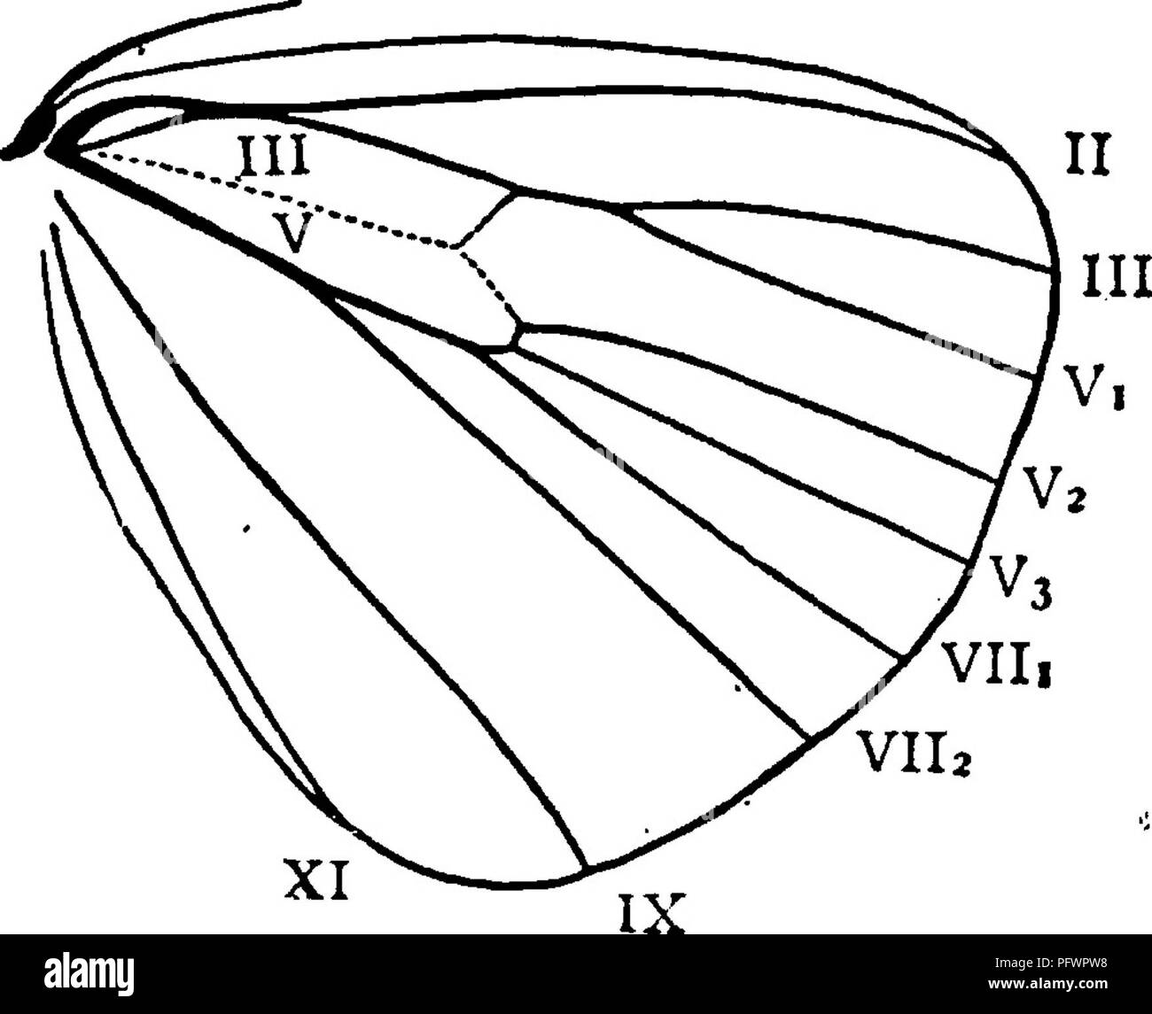 This manual provides a detailed guide to insect anatomy, classification ...