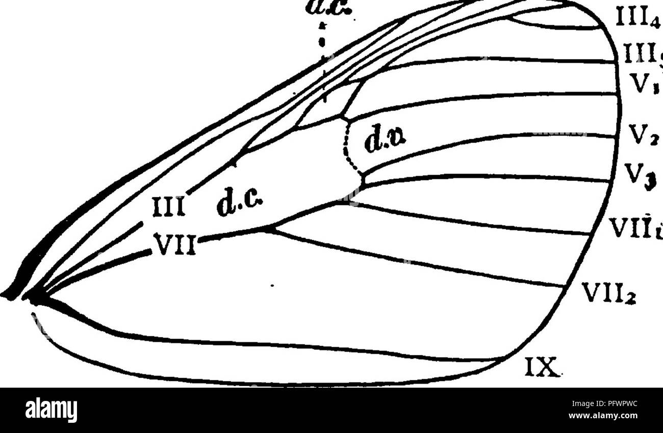 This manual provides an in-depth guide to studying insects ...