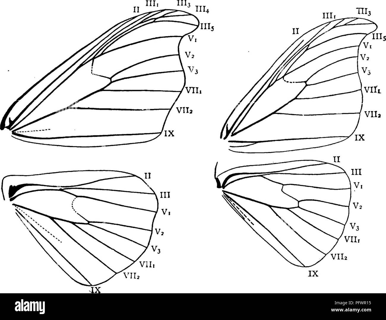 A comprehensive manual on insect studies, covering various aspects of ...
