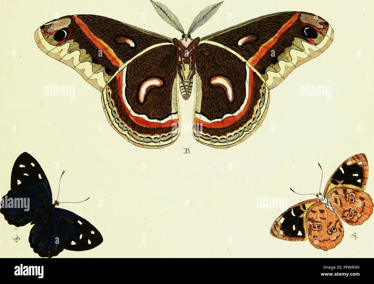 This work by Pieter Cramer and Caspar Stoll explores foreign ...