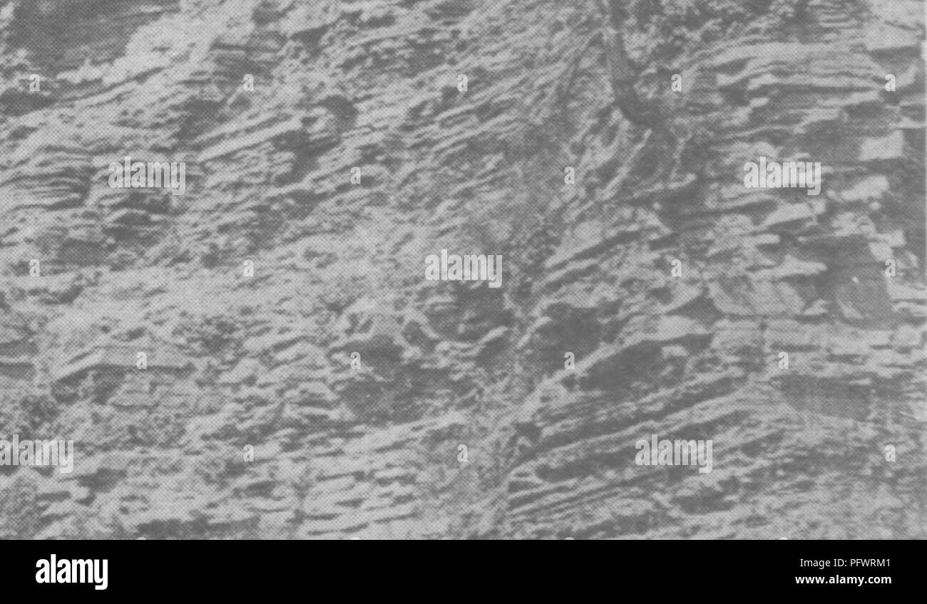 The Finger Lakes region in central New York is known for its stunning ...