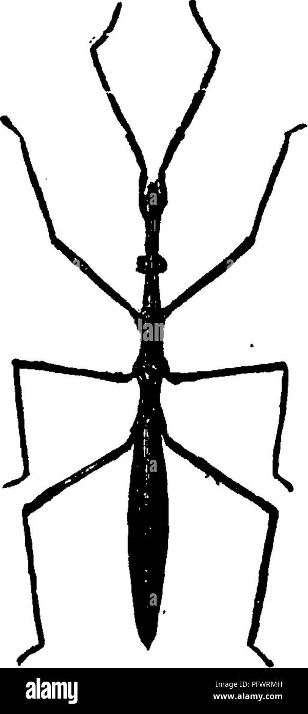 This manual provides detailed insights into the biology and behavior of ...