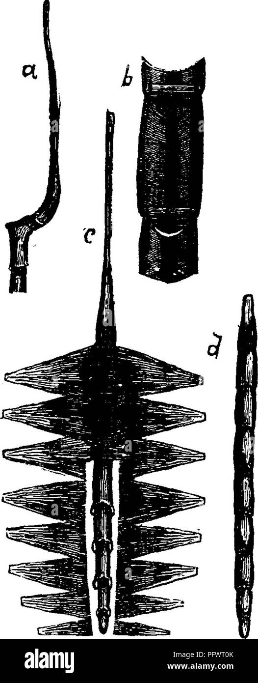 This manual describes the heart structure of insects, highlighting its ...
