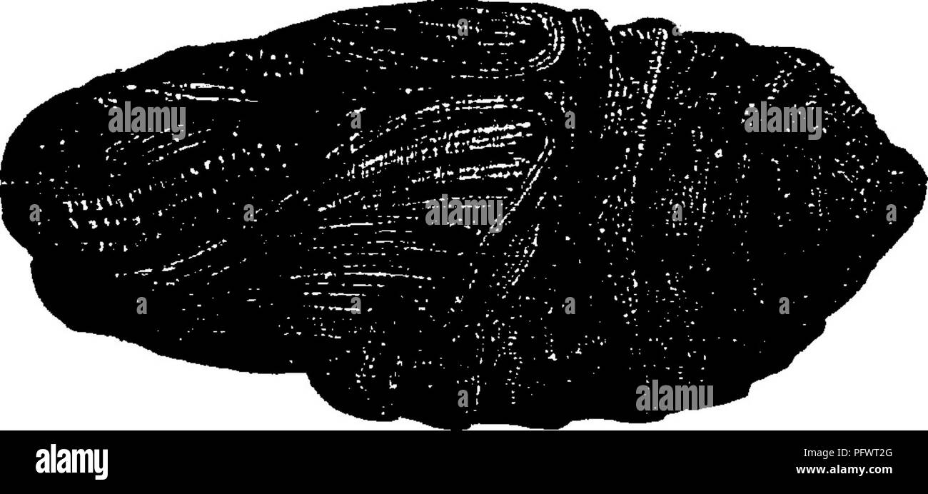 This manual provides a thorough examination of the life cycle of ...