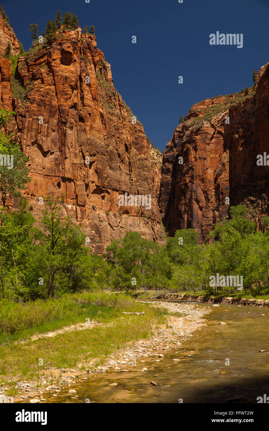 Zion nationalpark hi-res stock photography and images - Alamy