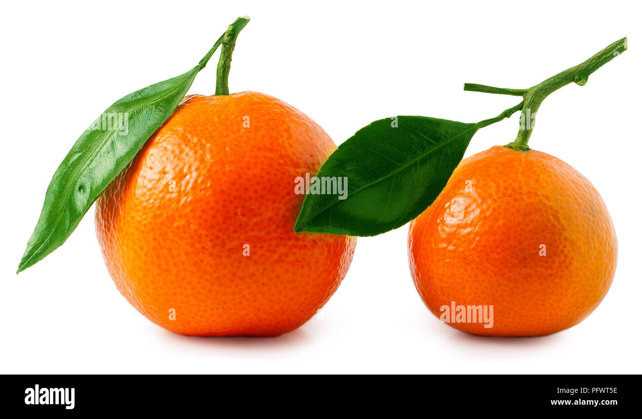 Two ripe tangerines isolated on white background Stock Photo - Alamy
