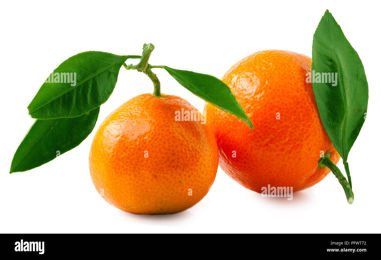 Two ripe tangerines isolated on white background Stock Photo - Alamy