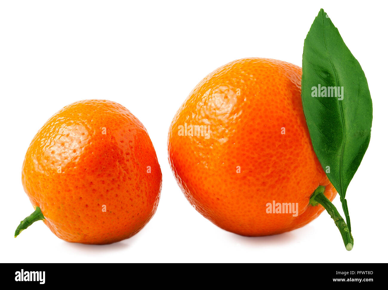 Two ripe tangerines isolated on white background Stock Photo - Alamy