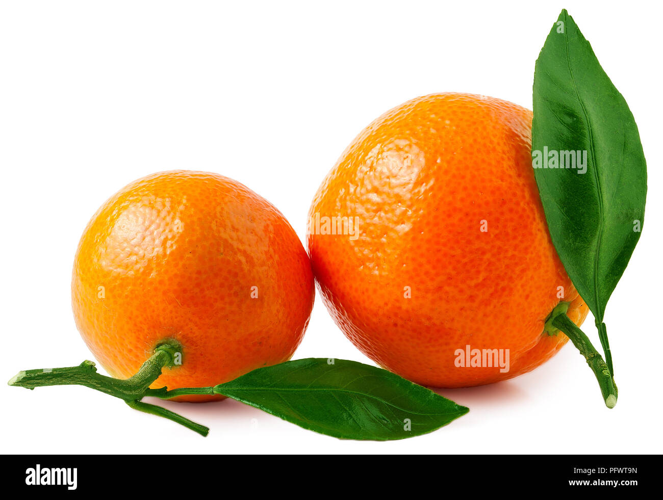 Two ripe tangerines isolated on white background Stock Photo - Alamy