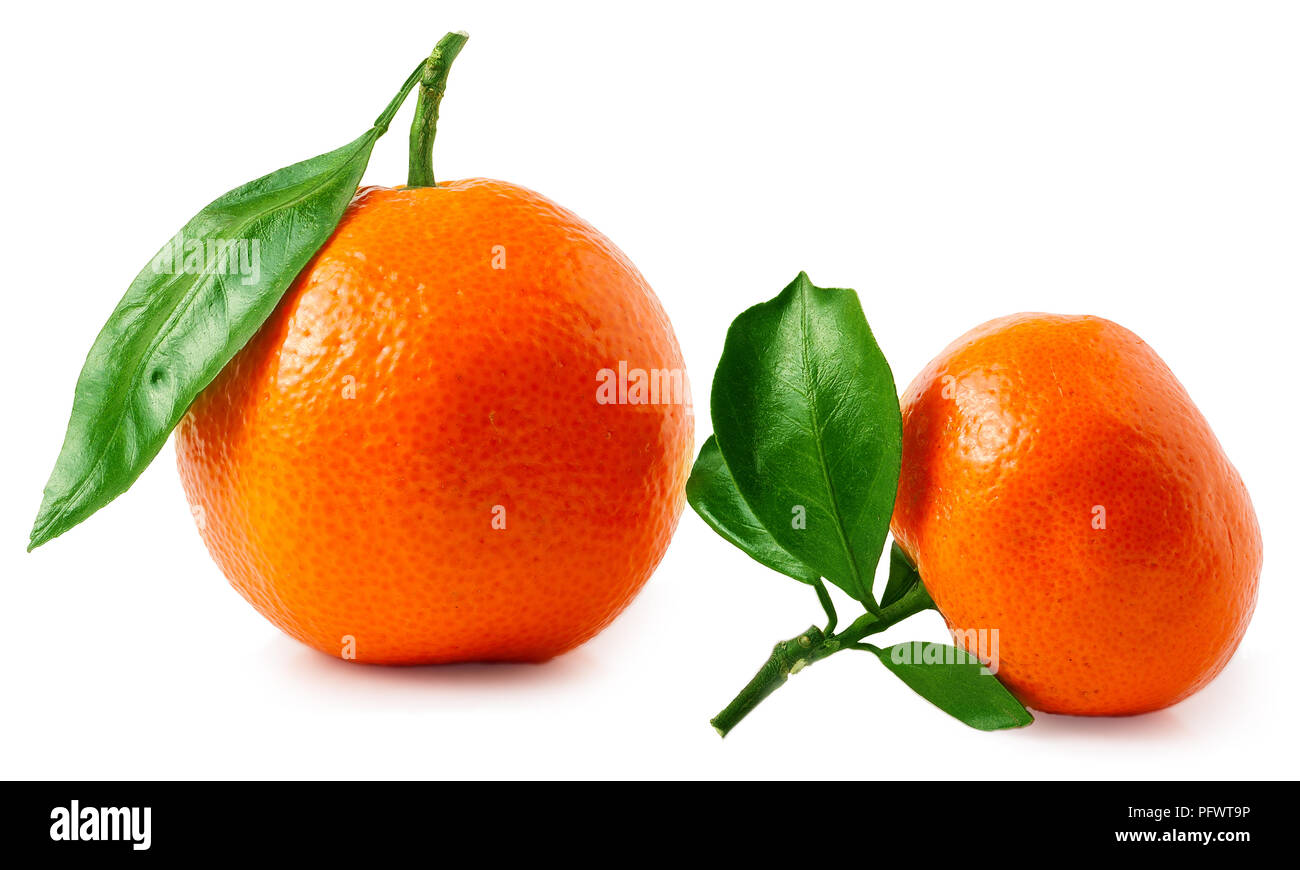 Two ripe tangerines isolated on white background Stock Photo - Alamy
