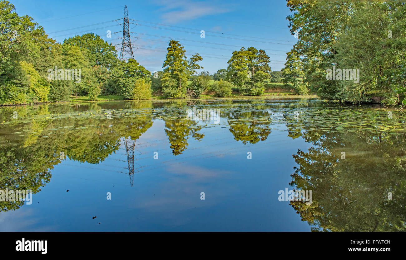 Trees ,sky and Powerlines reflected in the lilly covered lake Stock ...