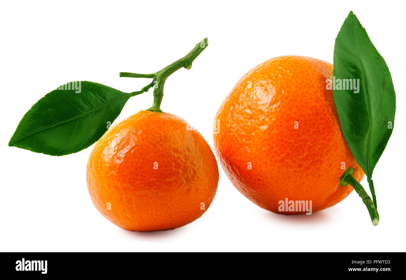 Two ripe tangerines isolated on white background Stock Photo - Alamy