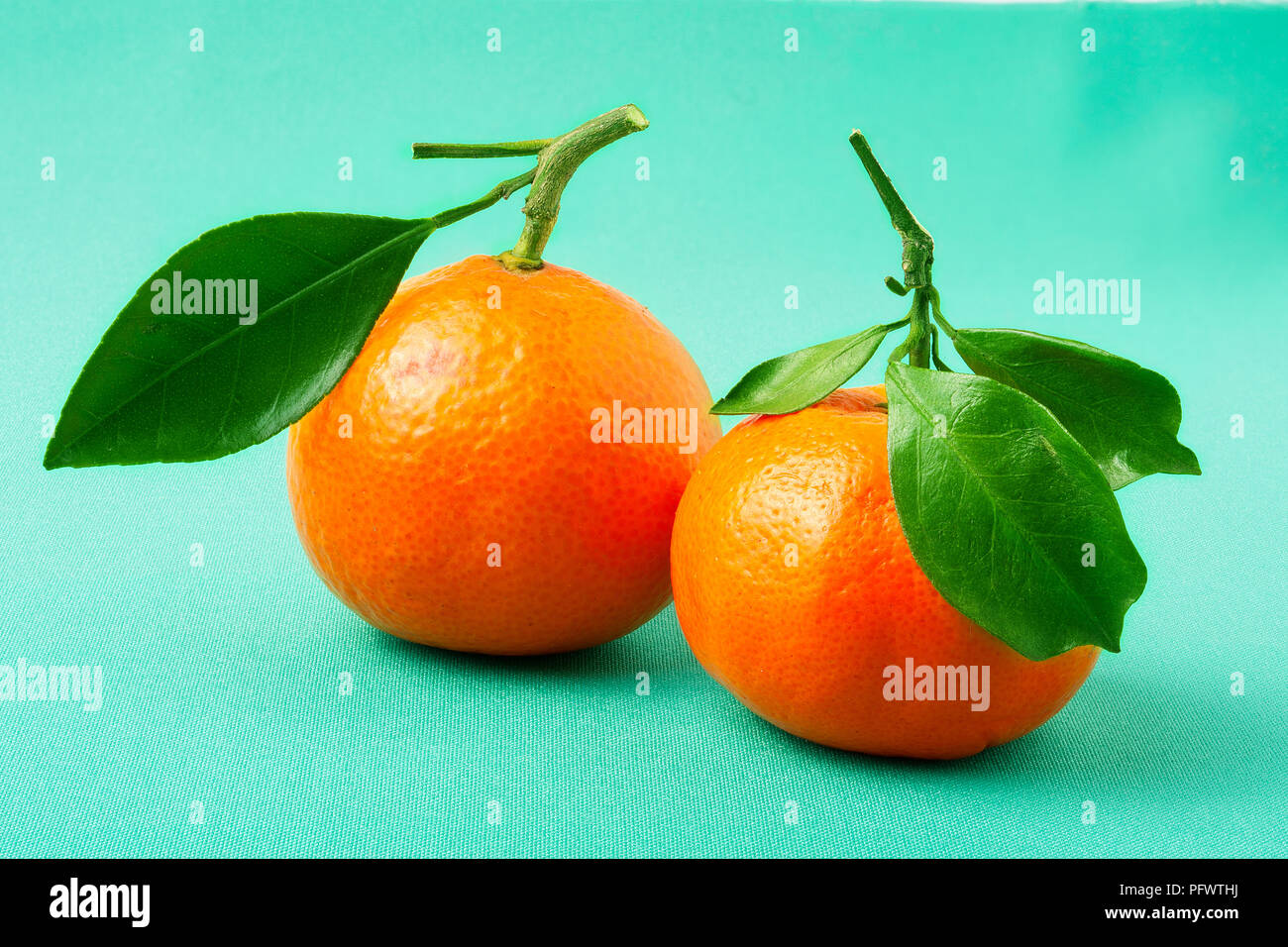 Satsuma segment hi-res stock photography and images - Alamy