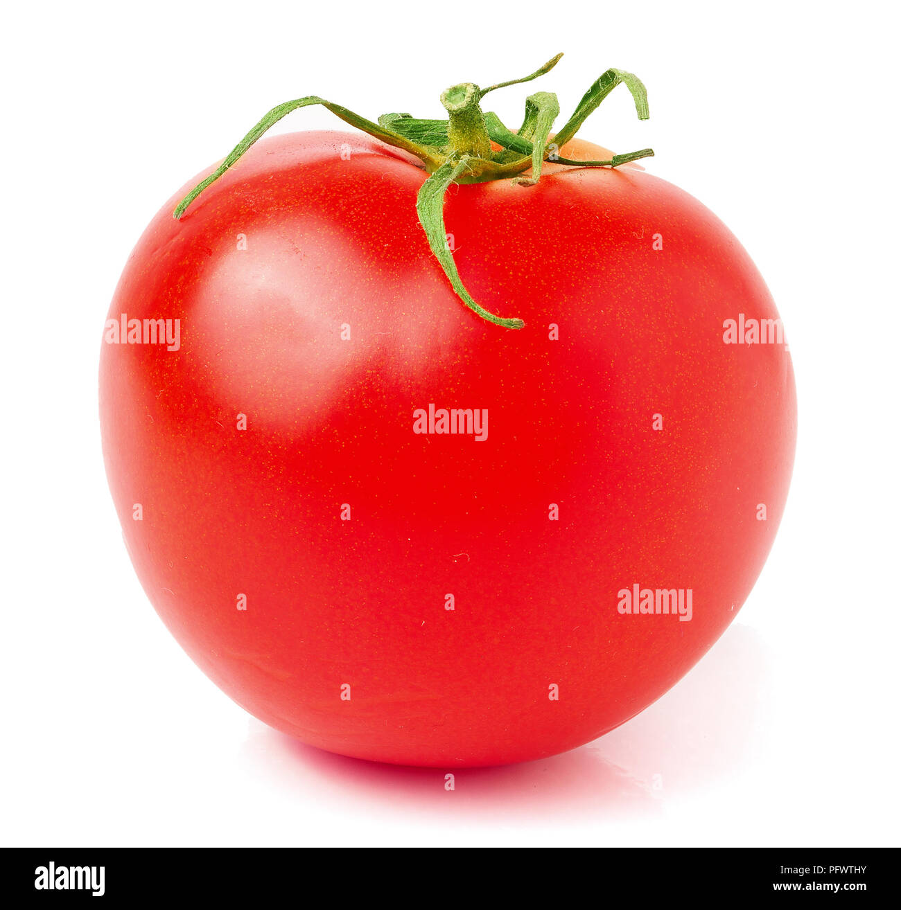 One red tomato on white background Stock Photo - Alamy
