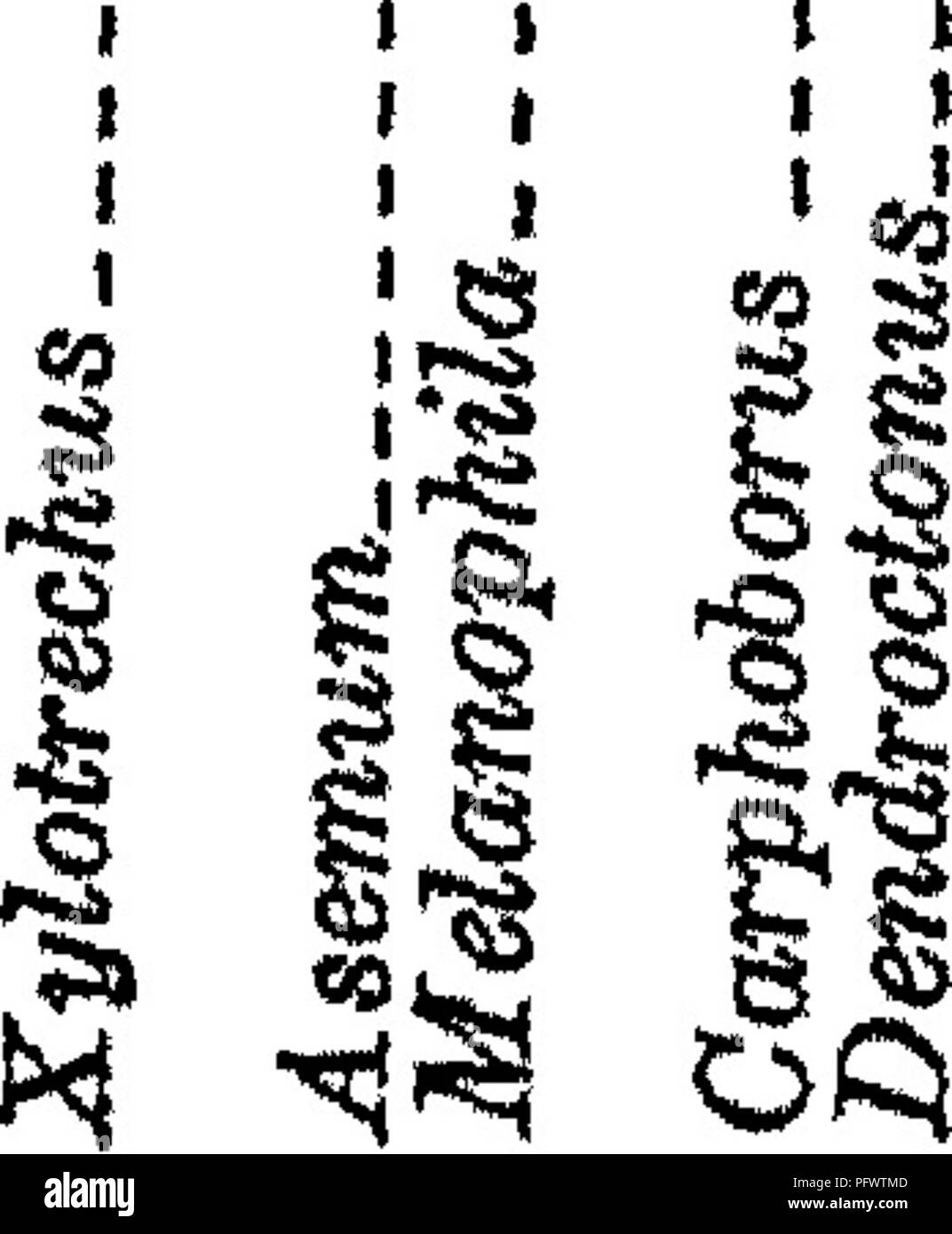This guide provides lectures from the Biltmore Forest School on forest ...