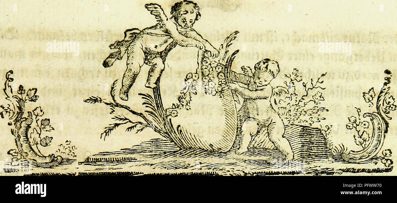 A detailed work on the taxonomy and illustration of beetles ...