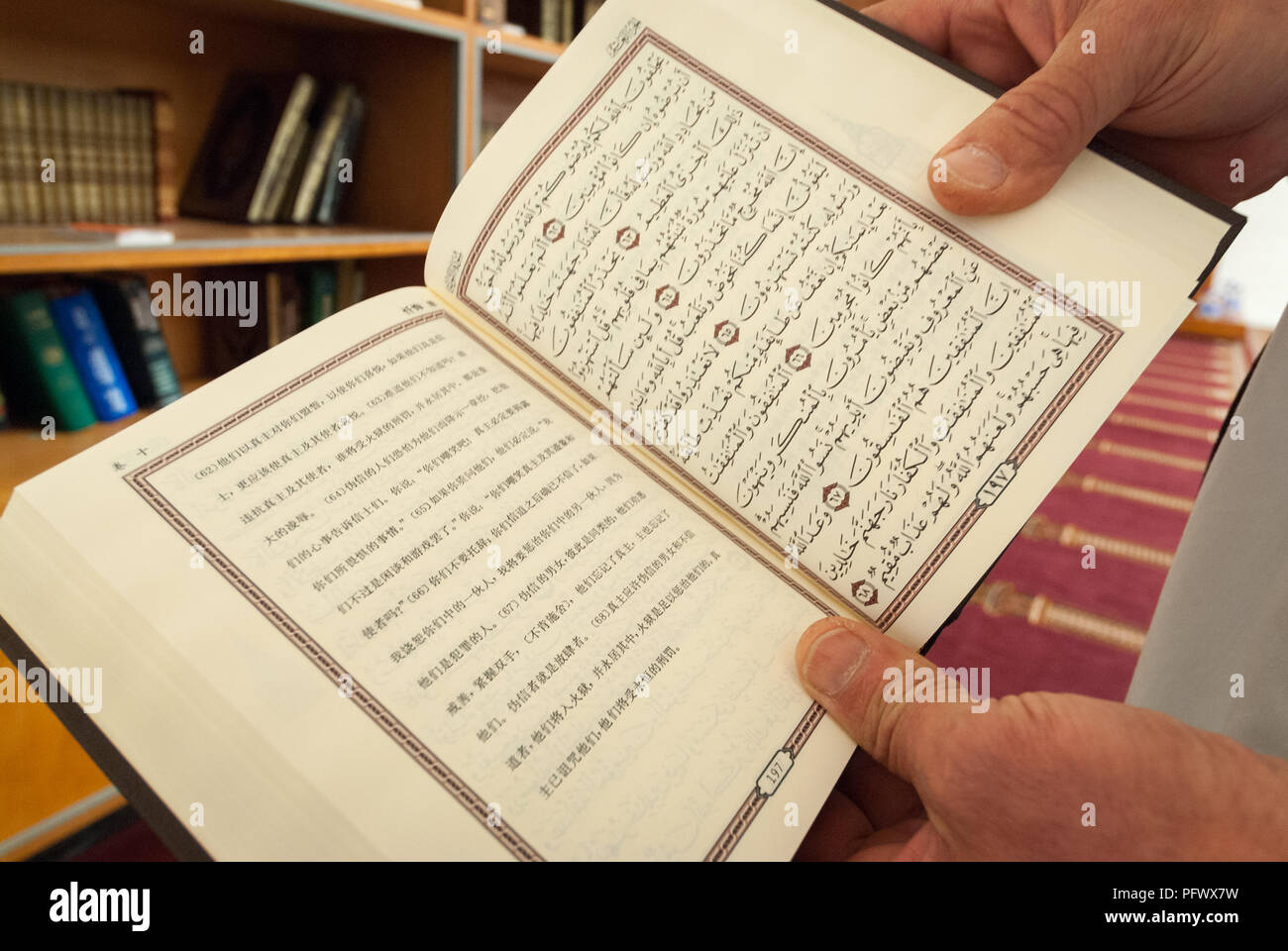 Quran Language