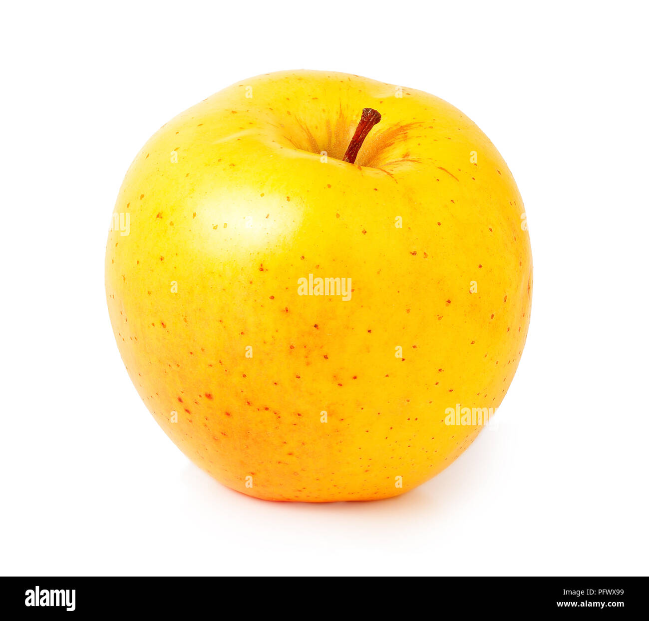 Studio back garden Cut Out Stock Images & Pictures - Alamy