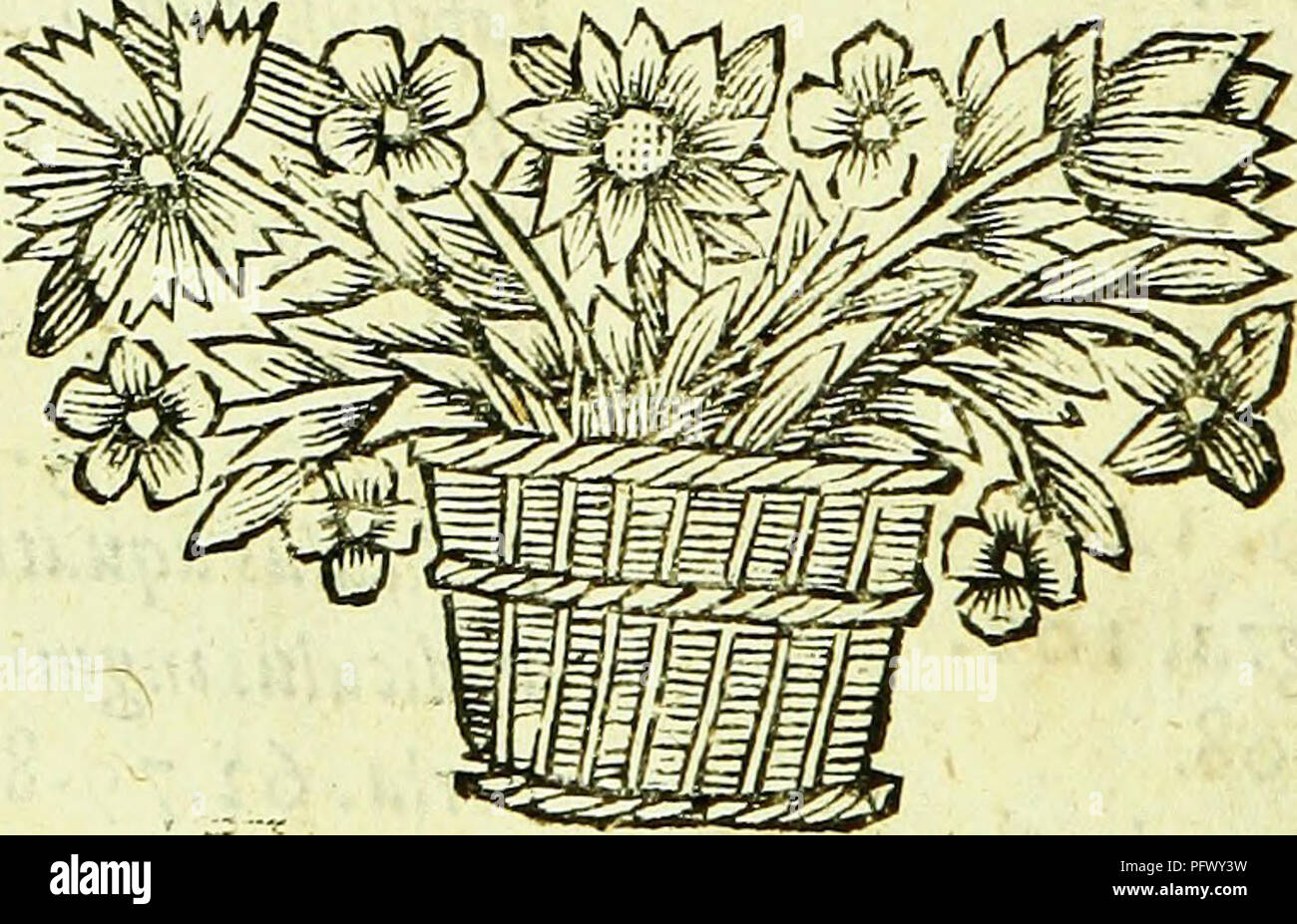 This 1685 work provides an early comprehensive account of insect ...