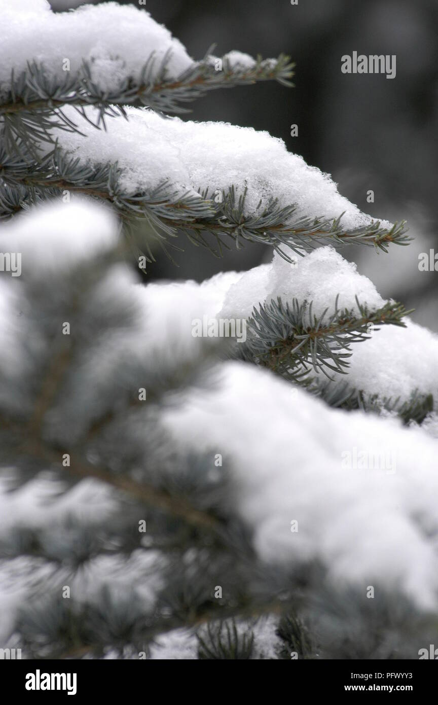 Graz austria snow hi-res stock photography and images - Alamy