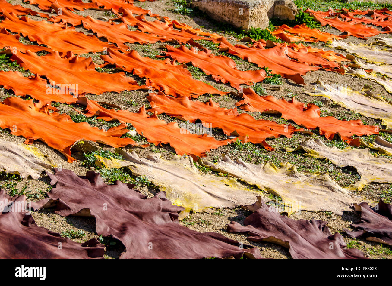 Leather drying in sun hi-res stock photography and images - Alamy