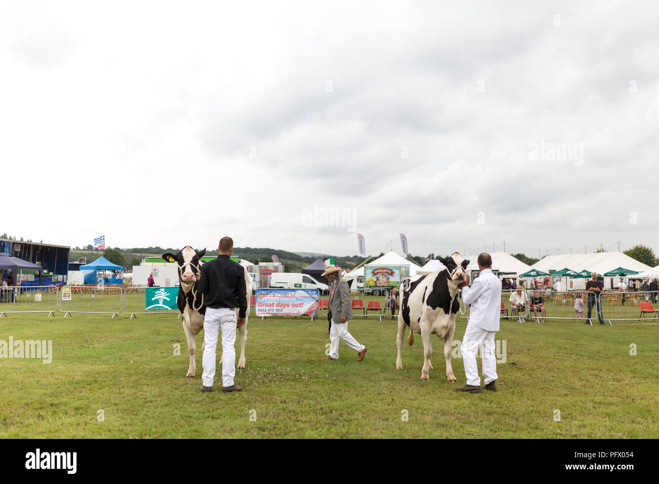 Royal lancashire hi-res stock photography and images - Alamy