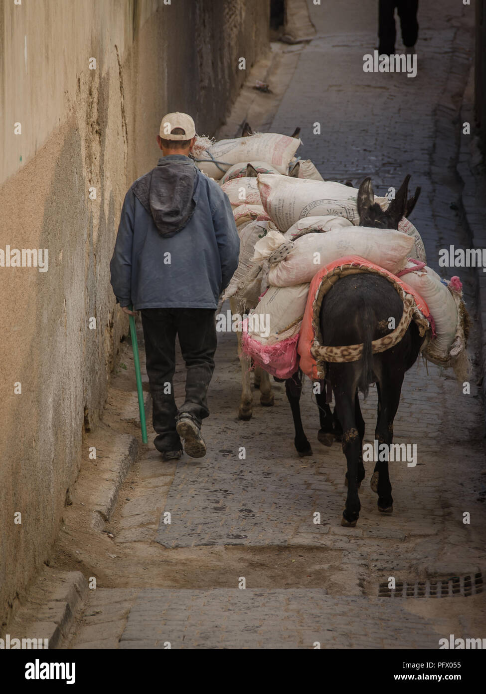 Donkeys carrying load hi-res stock photography and images - Alamy