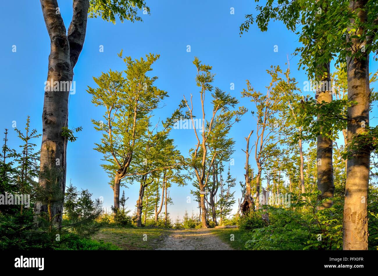 Bole hill road hi-res stock photography and images - Alamy