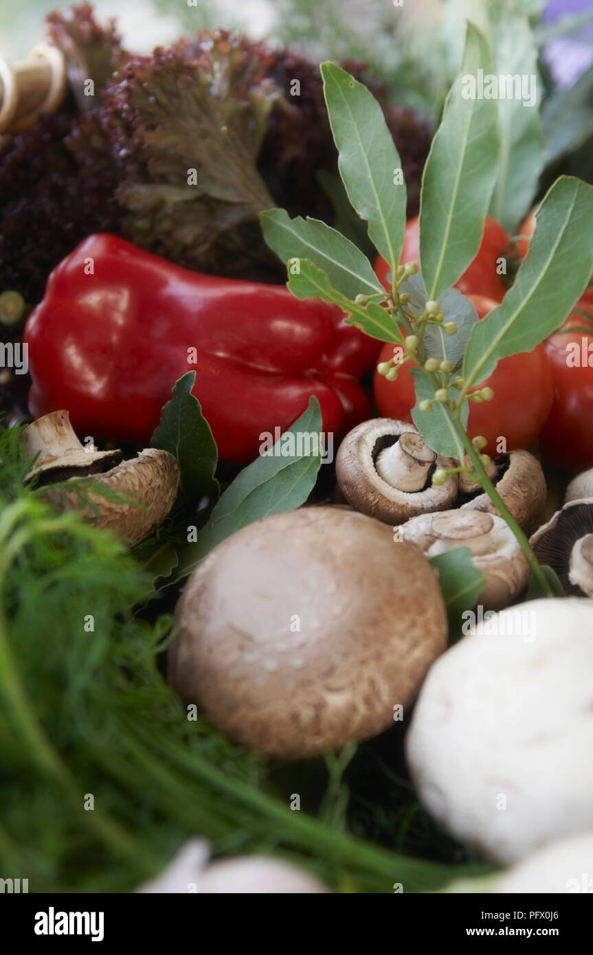 Growing ingredients produce hi-res stock photography and images - Alamy