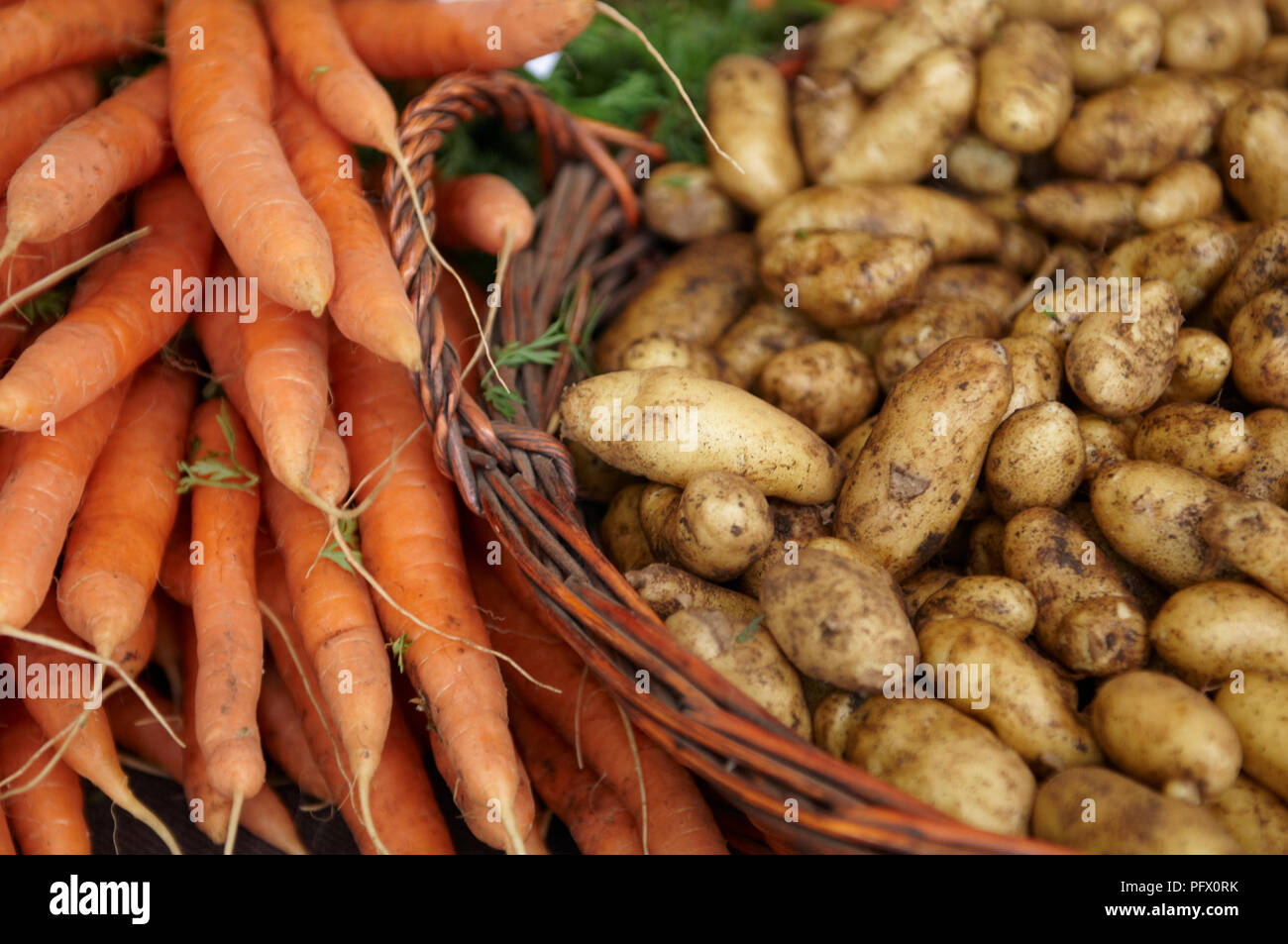 Double carrot hi-res stock photography and images - Alamy