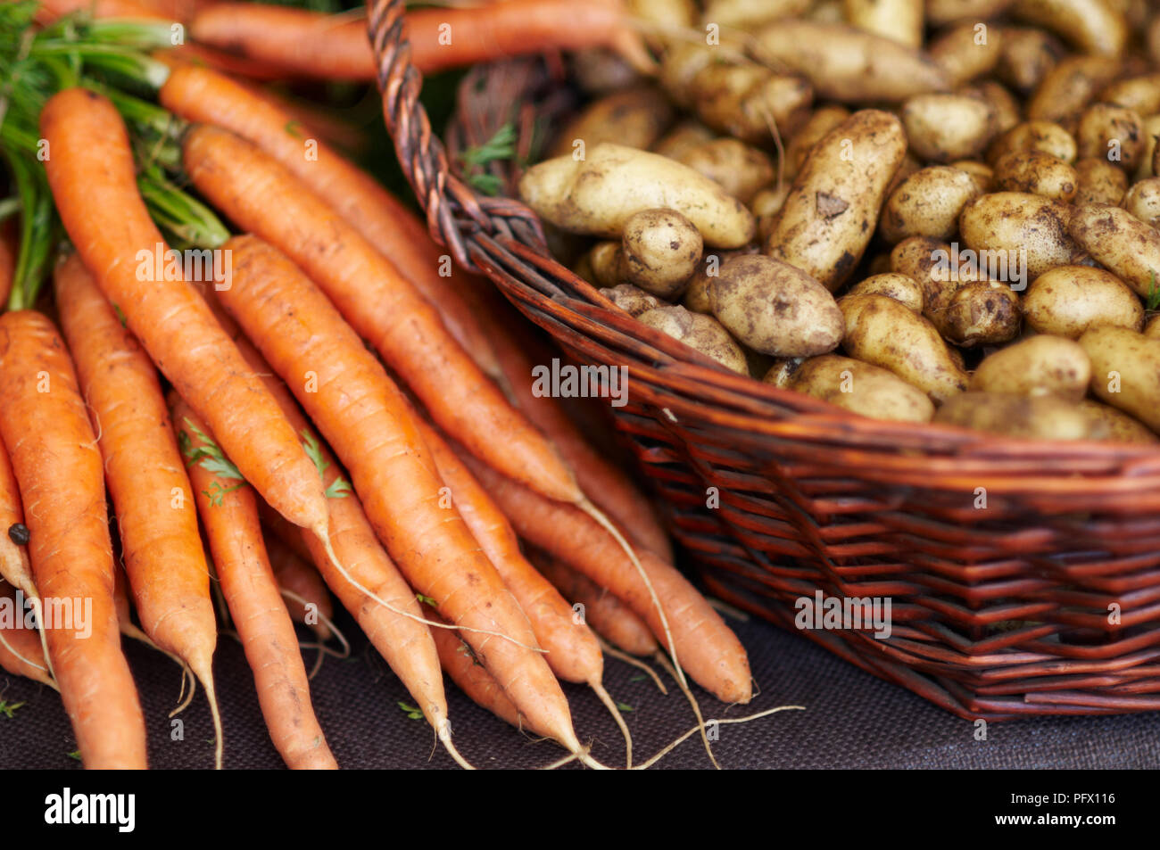 Double carrot hi-res stock photography and images - Alamy
