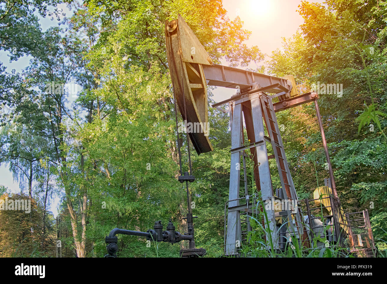 Drilling oil forest hi-res stock photography and images - Alamy