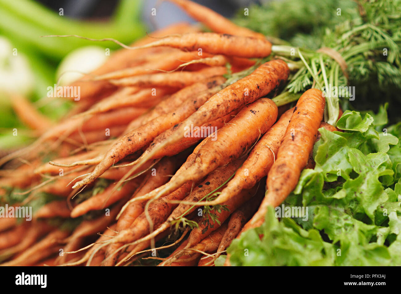 Double carrot hi-res stock photography and images - Alamy