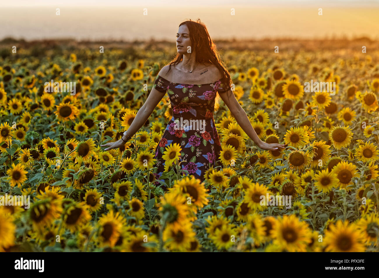 Natasha Jenkins enjoys a walk during sunset amongst a field of ...